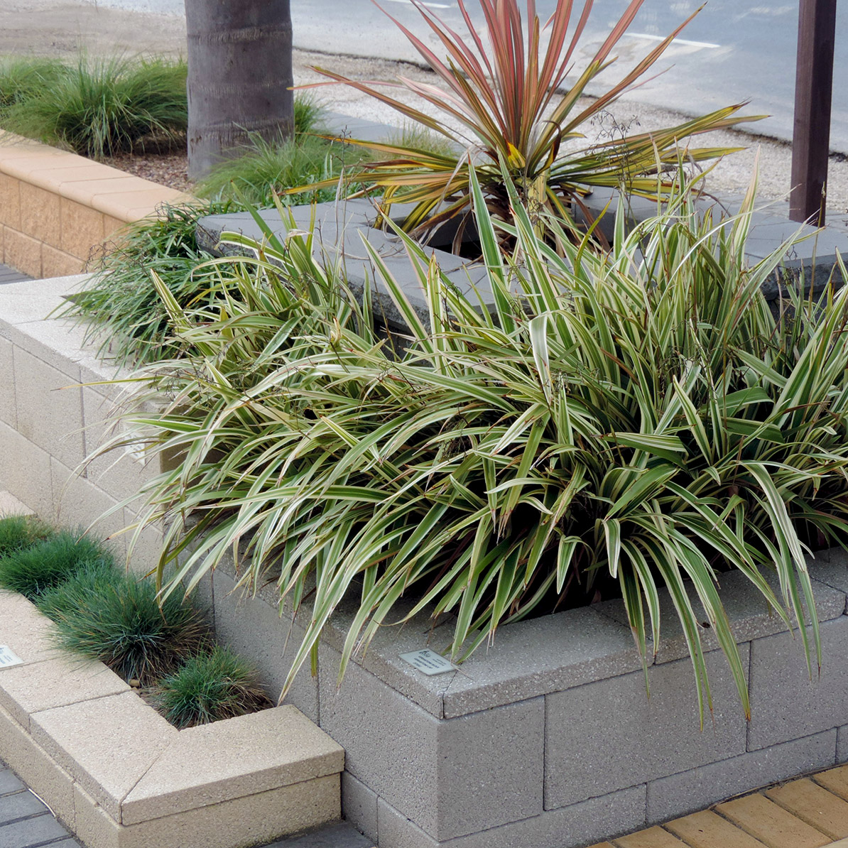 Versastone® Building Blocks Adbri Masonry | Retaining Walls Adelaide