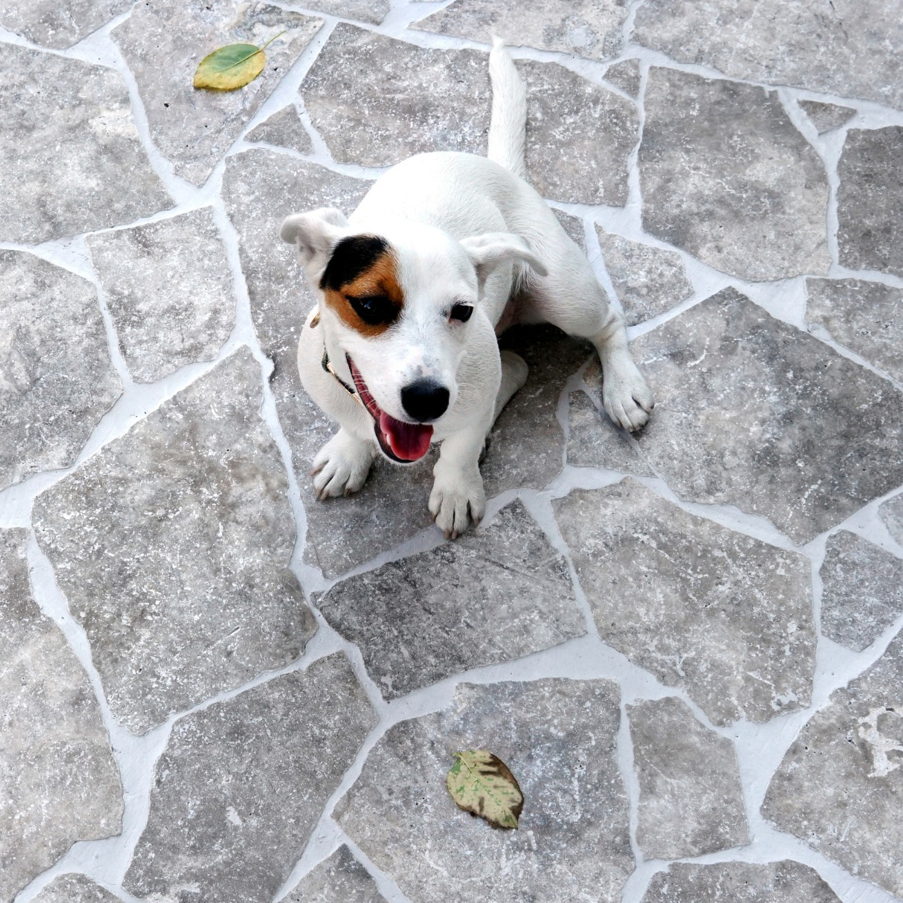 Pavers Mount Barker | Australian Paving Centre Mt Barker – Murray Bridge